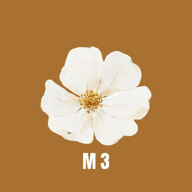 Wild Flower - song and lyrics by M 3, THE HAMU, Beatkart | Spotify