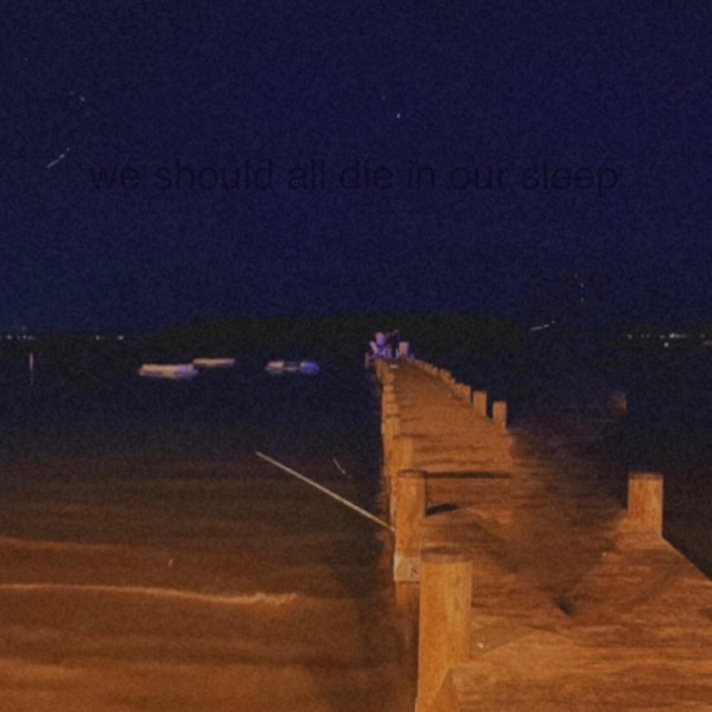 we should all die in our sleep - Album by PRAD CITY | Spotify