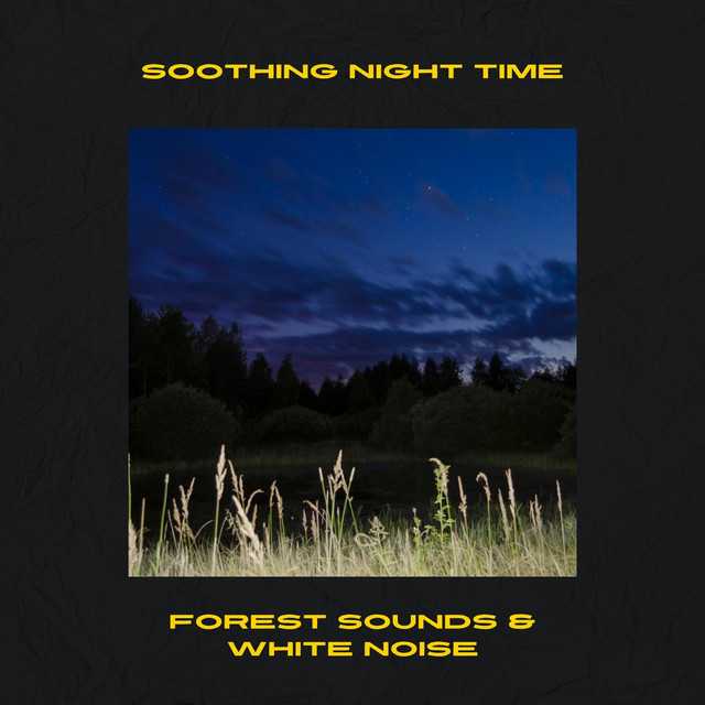 Soothing Night Time Forest Sounds & White Noise, Loopable - Album by ...