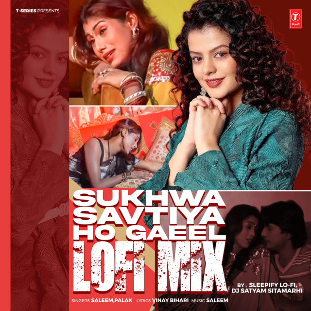 Sukhwa Savtiya Ho Gaeel Lofi Mix - song and lyrics by Saleem, Palak ...
