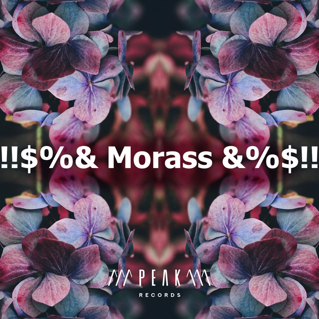 Morass &%$!! - Album by Forest Sounds | Spotify