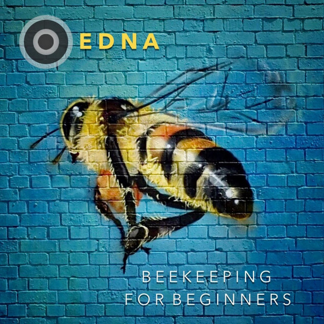 EDNA | Spotify