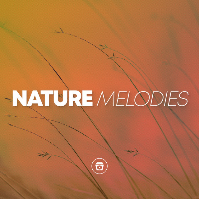 Nature Melodies - Album by Rain Sounds Sleep | Spotify