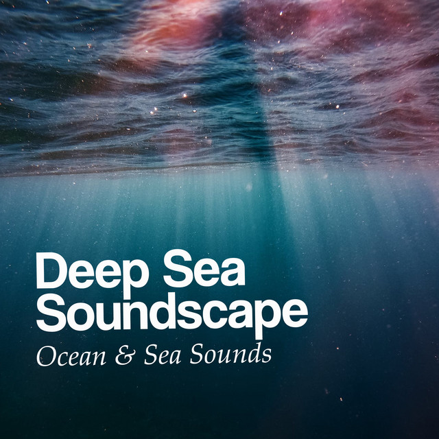 Rough Coastline - song and lyrics by Ocean & Sea Sounds | Spotify