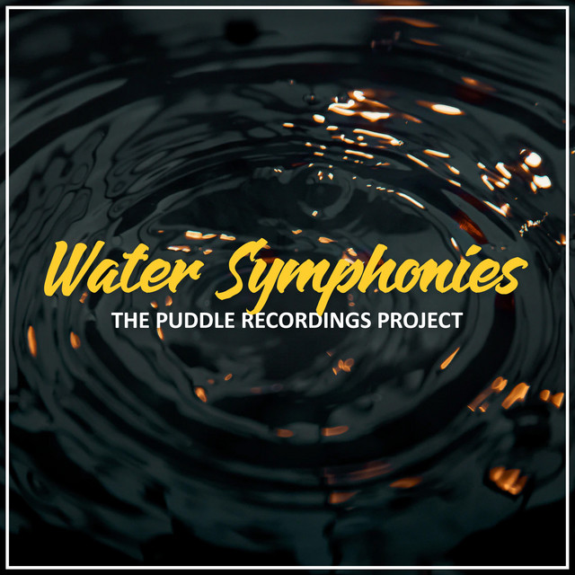Water Symphonies - Album by The Puddle Recordings Project | Spotify