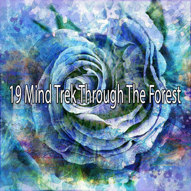 19 Mind Trek Through The Forest - Album by Forest Sounds | Spotify