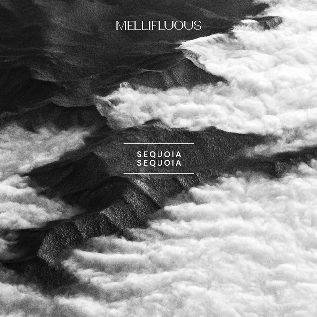 Mellifluous - Single by Sequoia Sequoia | Spotify