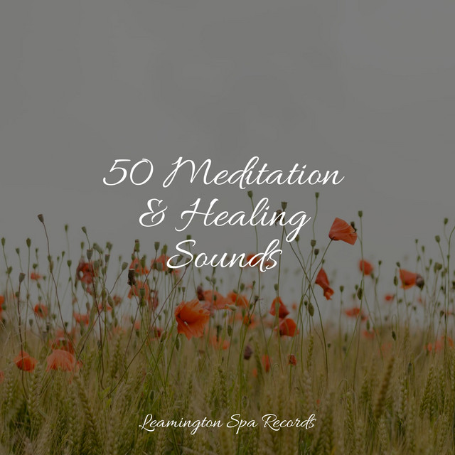 Welness and Mindfulness - song and lyrics by Ruído Branco, Sounds of ...