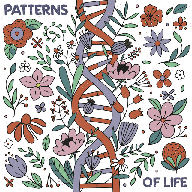 Patterns Of Life - Album by Paul Mottram | Spotify