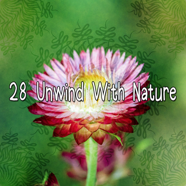 28 Unwind With Nature - Album by Sleep Sounds of Nature | Spotify