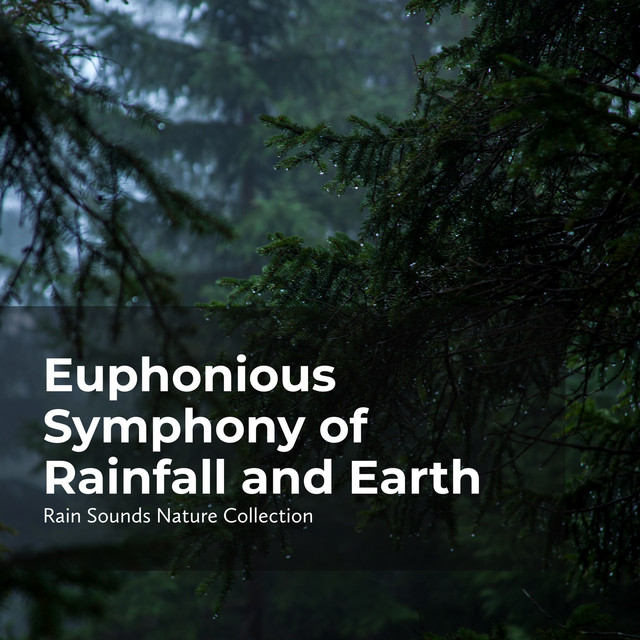 Euphonious Symphony of Rainfall and Earth - Album by Rain Sounds Nature ...