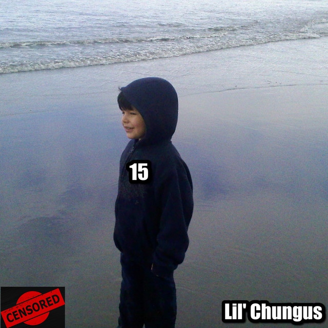 15 (Radio Edit Version) - Album by Lil' Chungus | Spotify