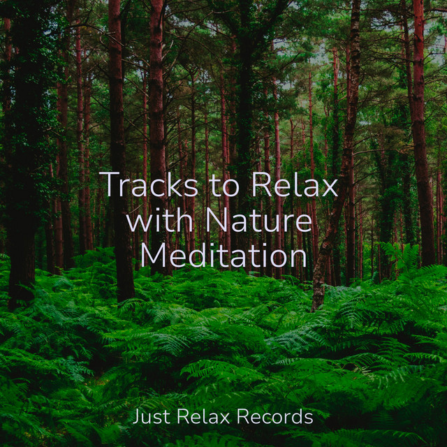 Tracks to Relax with Nature Meditation - Album by Exam Study Classical ...