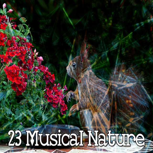 23 Musical Nature - Album by Mother Nature Sound FX | Spotify