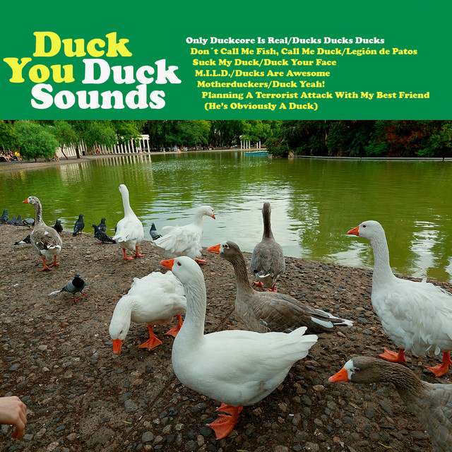 Duck You | Spotify