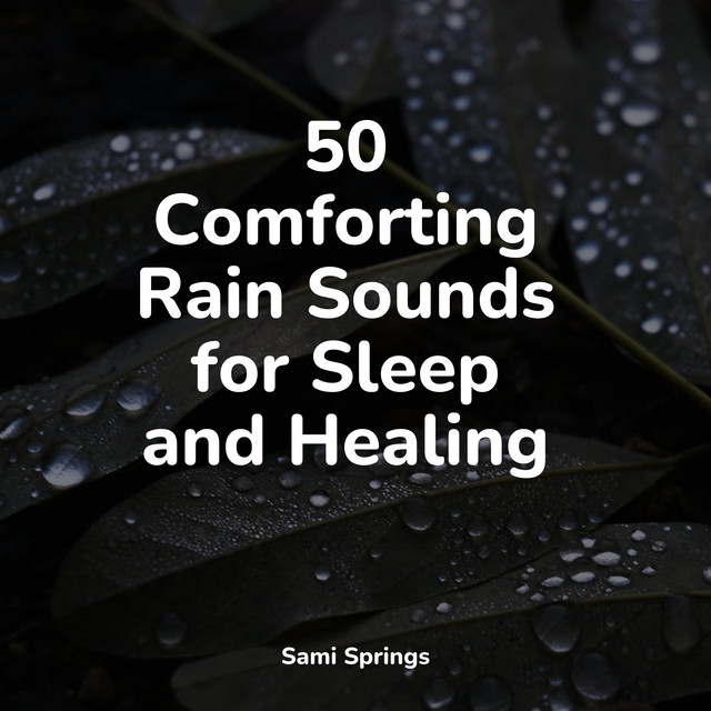 50 Comforting Rain Sounds for Sleep and Healing - Album by Sounds of ...