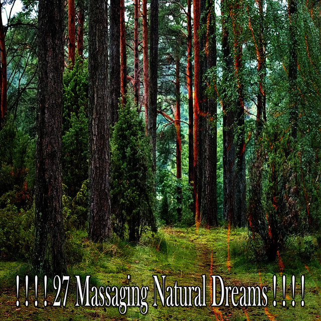 27 Massaging Natural Dreams ! ! ! ! - Album by Sounds of Nature ...