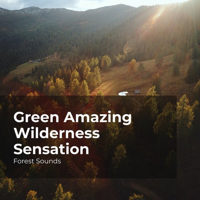Green Amazing Wilderness Sensation - Album by Forest Sounds | Spotify