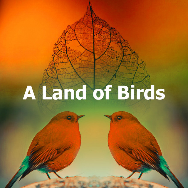 A Land of Birds - Album by Birdland Nature | Spotify