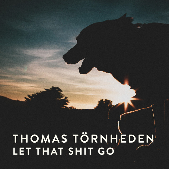 Let That Shit Go - Single by Thomas Törnheden | Spotify