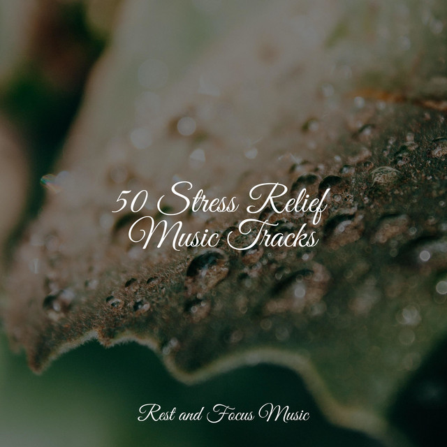 50 Stress Relief Music Tracks - Album by Sounds of Nature White Noise ...