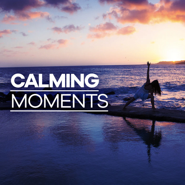 Calming Moments ! ! ! ! - Album by Healing Yoga Meditation Music ...