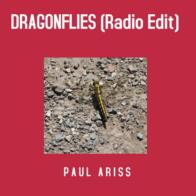 Dragonflies (Radio Edit) - Single by Paul Ariss | Spotify