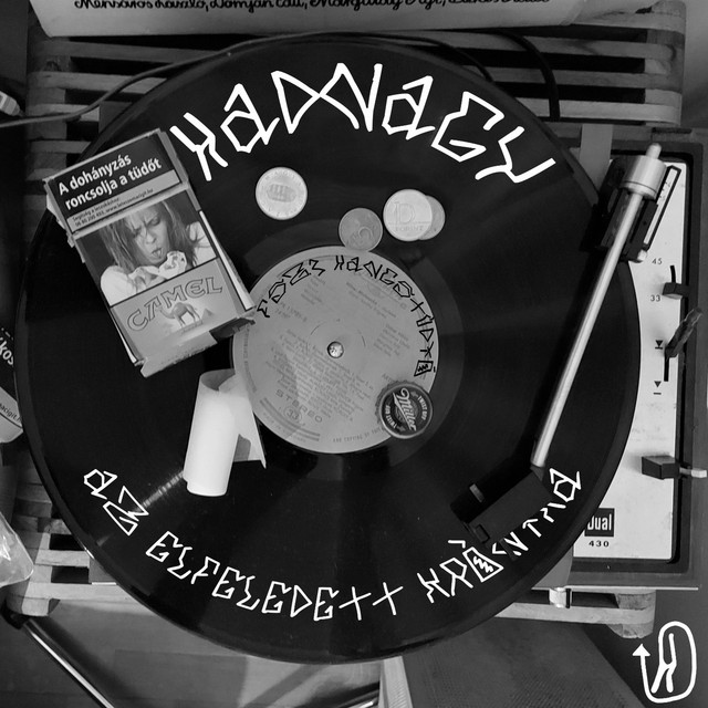 Az Elfeledett Krónika - Single by Hadnagy | Spotify