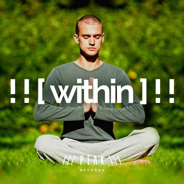 within ] ! ! - Album by Deep Sleep Music Collective | Spotify