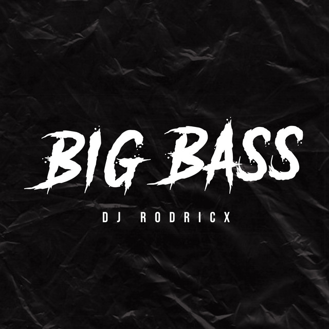 Big Bass Single By Dj Rodricx Spotify