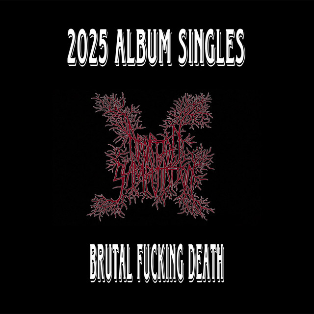 2025 Album Singles - Single by Abortion Slamputation | Spotify
