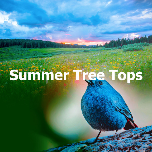Summer Tree Tops - Album by Animal and Bird Songs | Spotify