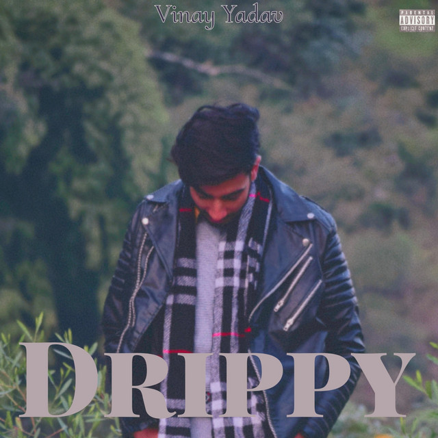 Drippy - song by Vinay Yadav | Spotify