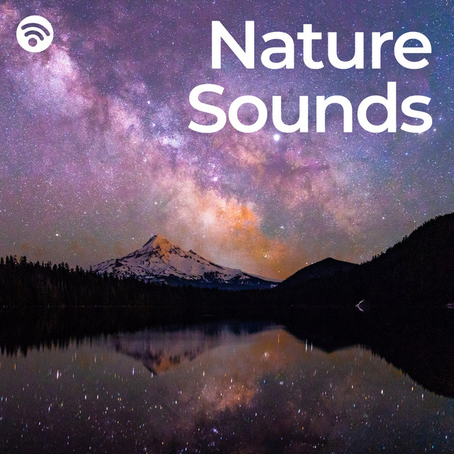 Good Night: Nature Sounds - Album by Nature Sounds for Sleep and ...