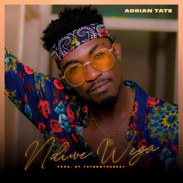 Ndiwe Wega - Single by Adrian Tate | Spotify