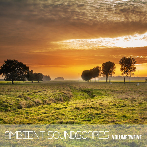 Ambient SoundScapes, Vol. 12 - Compilation by Various Artists | Spotify