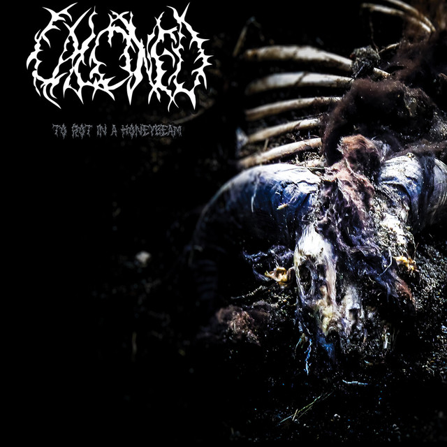 To Rot in a Honeybeam - Album by CALCINED | Spotify
