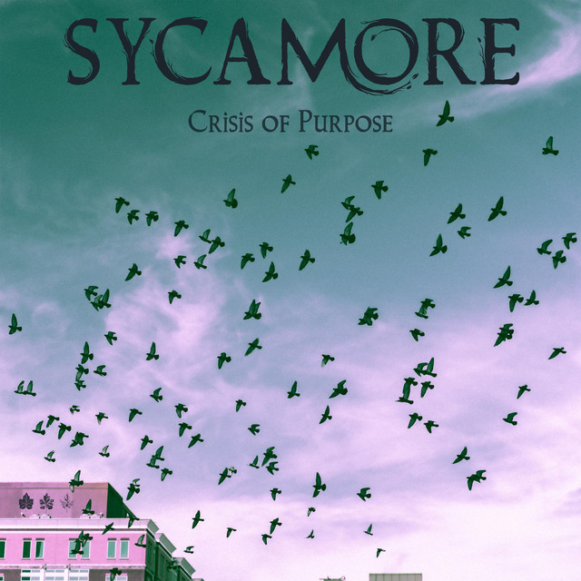 Crisis of Purpose - Album by Sycamore | Spotify