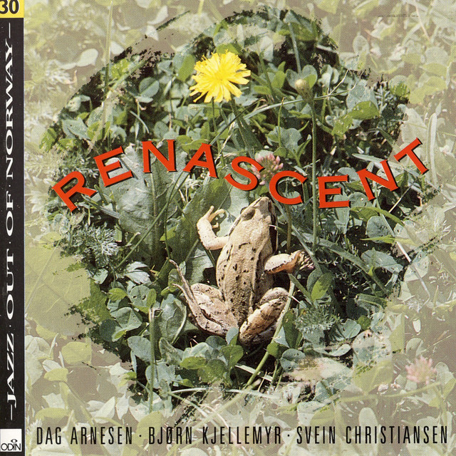 Renascent - Album by Dag Arnesen | Spotify