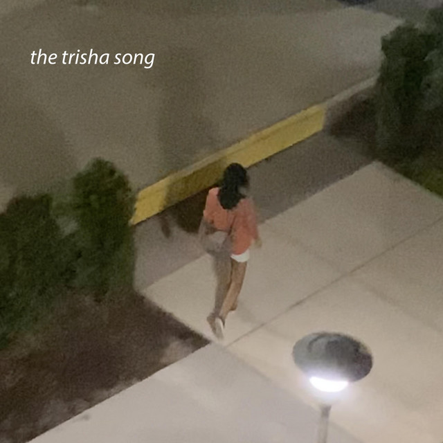 The Trisha Song (Where Is She Going?) - song and lyrics by Tropically ...