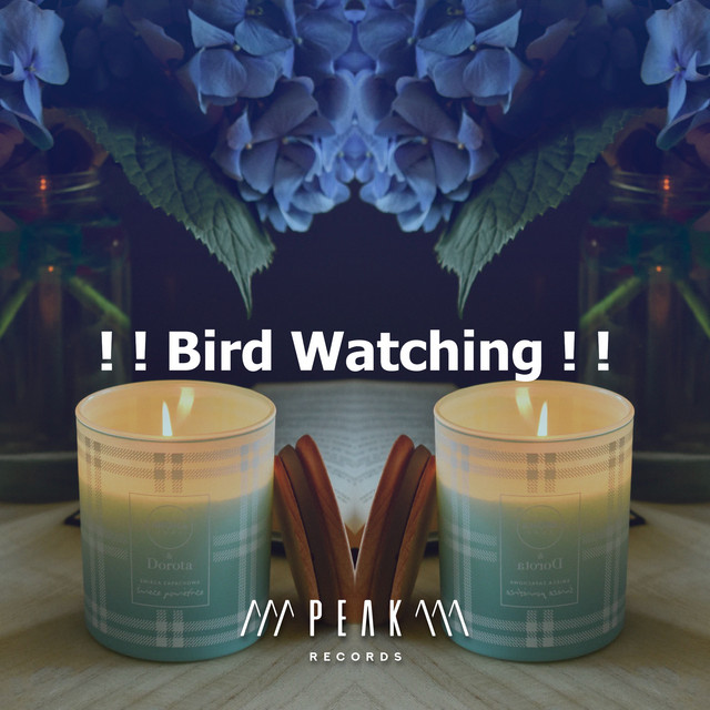Bird Watching ! ! - Album by Zen Soothing Sounds of Nature | Spotify