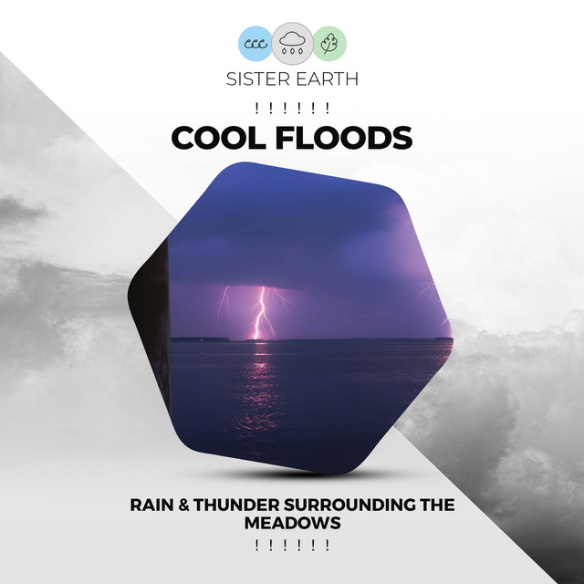 Cool Floods Rain & Thunder Surrounding the Meadows ! ! ! ! ! ! - Album ...
