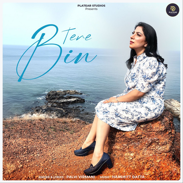 Tere Bin - Single by Palvi Virmani | Spotify
