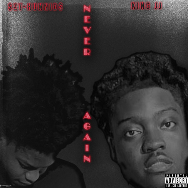 Never Again - Single by $ZT-HUNNID$ | Spotify