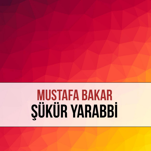 Şükür Yarabbi - Album by Mustafa Bakar | Spotify