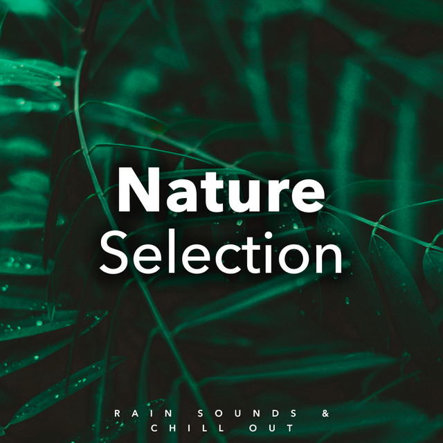 Nature Selection - Album by Nature Sounds Nature Music | Spotify