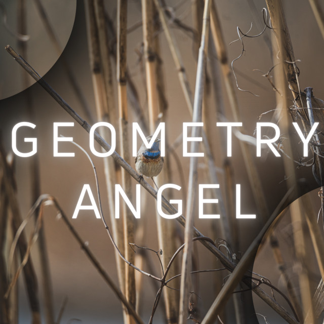 Geometry Angel: Songs list, genres, analysis and similar artists - Chosic