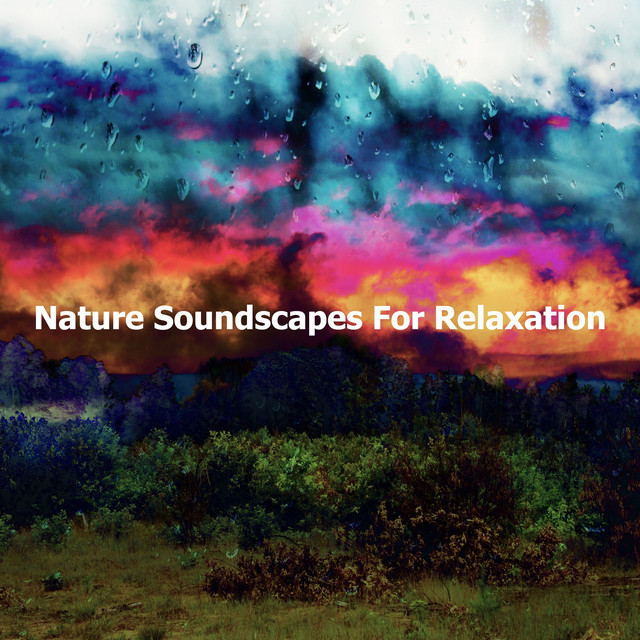 Nature Soundscapes For Relaxation - Album by Nature and Rain | Spotify