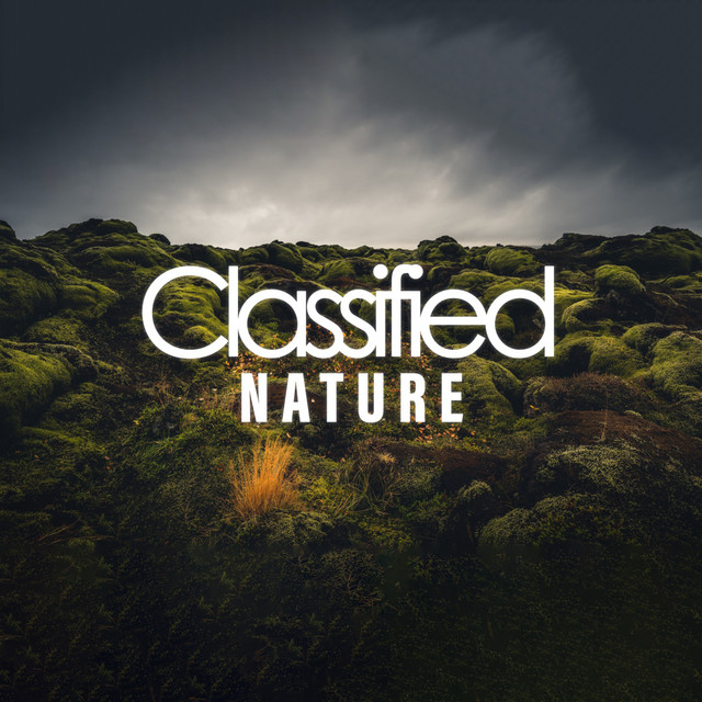 Classified Nature - Album by Relaxing Music Therapy | Spotify