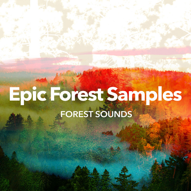 Epic Forest Samples - Album by Forest Sounds | Spotify